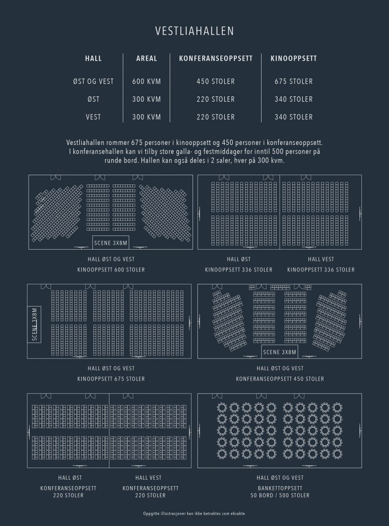 Konferanse på Vestlia Resort - Geilos største konferansesenter
